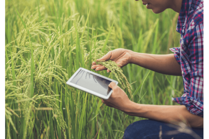 Fiddy Working Heritage Farm IELTS Listening Answers With Audio ...