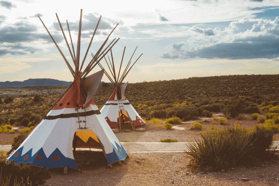 Endangered Languages IELTS Reading Answers with Explanation | IELTS ...